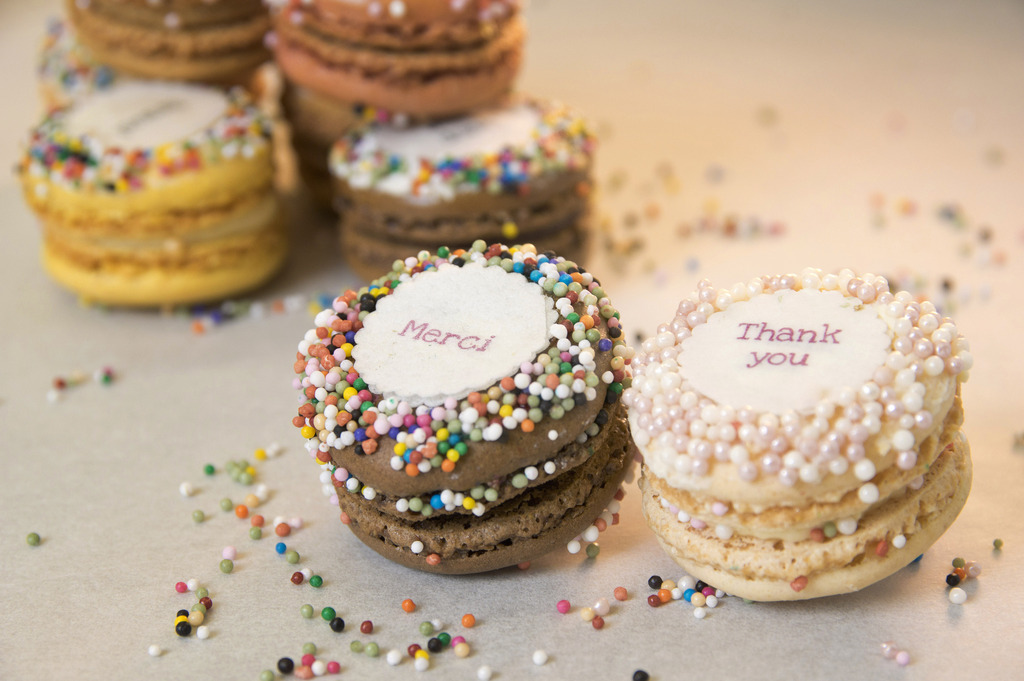 Details for Cake Cetera in Unit 14, 69 Bothwell Road, Hamilton ...