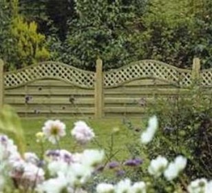 Forestmuir Timber Products, Forestmuir Timber Products, Forfar, Angus ...