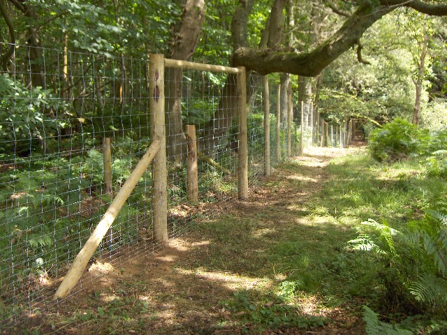 Details for Juniper Fencing Ltd in 30 Clappers Meadow, Alfold ...