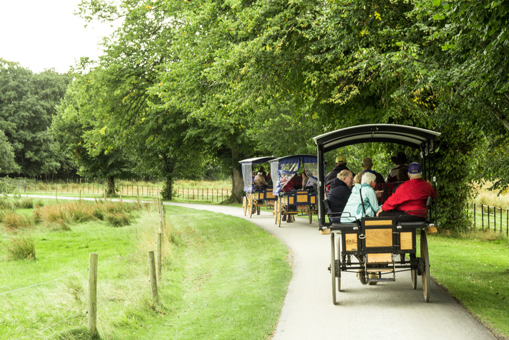 Killarney Jaunting Cars Limited 10b Muckross Close, Killarney, County Kerry