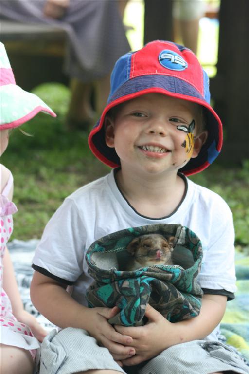 WILDCALL WILDLIFE SHOWS Gold Coast, 4213