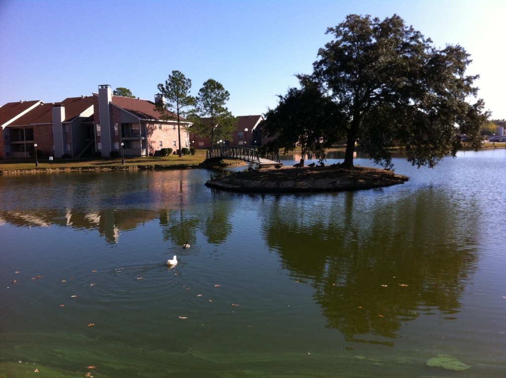 Jefferson Lakes Apartments 12400 Jefferson Hwy, Baton Rouge, LA, 70816-6210