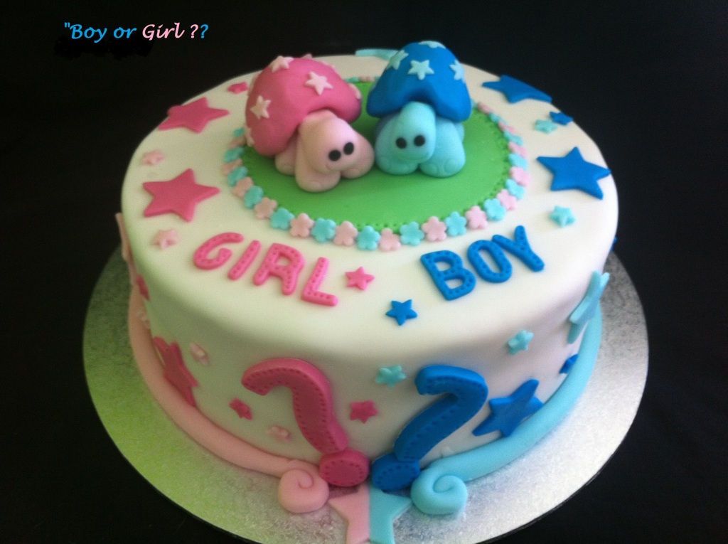 Sublime Cake Creations Shop 1, 83 Mango Street, Runcorn, 4113