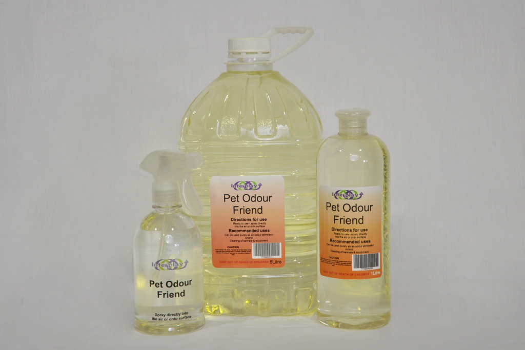 Interplay Cleaning 1004 Ergon Ave, Lyttelton, 0042