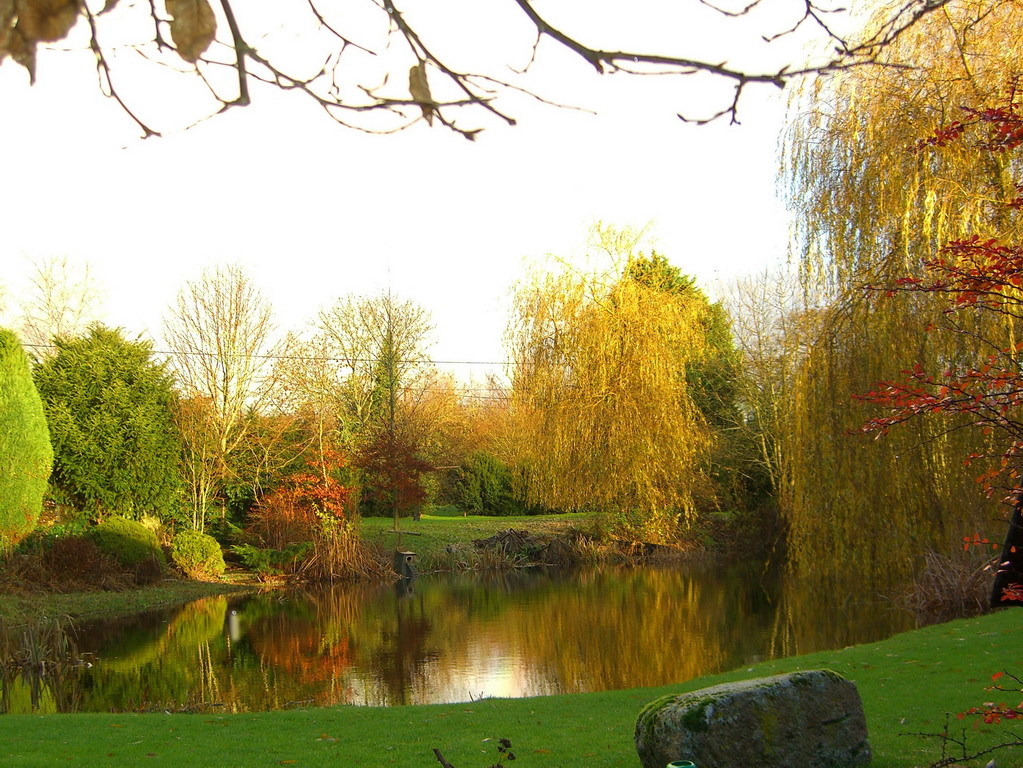 Water Meadow Nursery & Herb Farm Water Meadows, Nr Alresford, Hampshire ...
