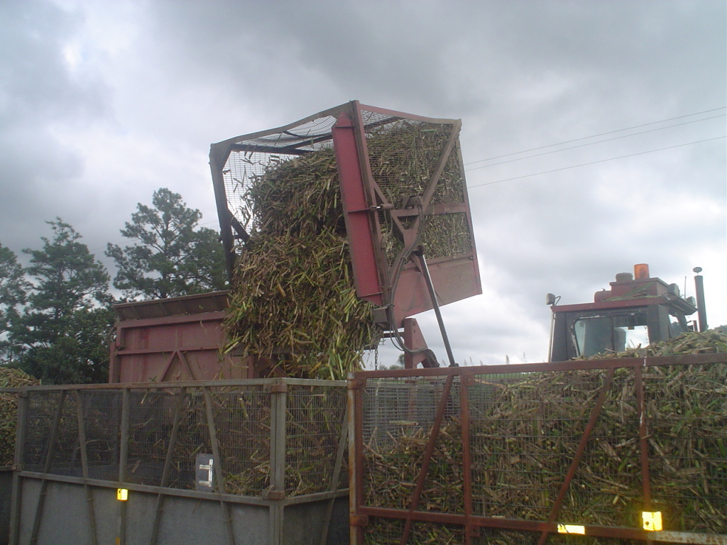 Lucas Harvesting Pty. Ltd. 19 Loudon Street, Mackay, 4740