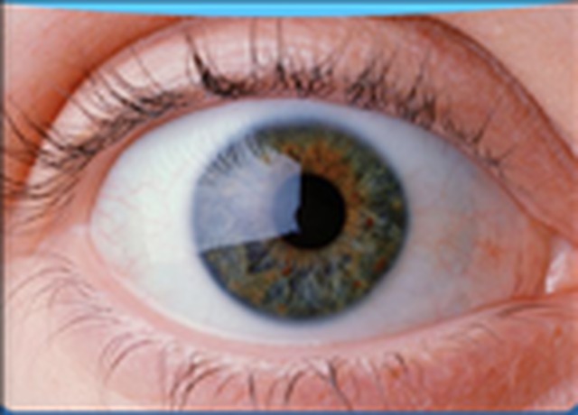 Eye Star Vision Center 958 County Line Rd, Bryn Mawr, PA, 19010