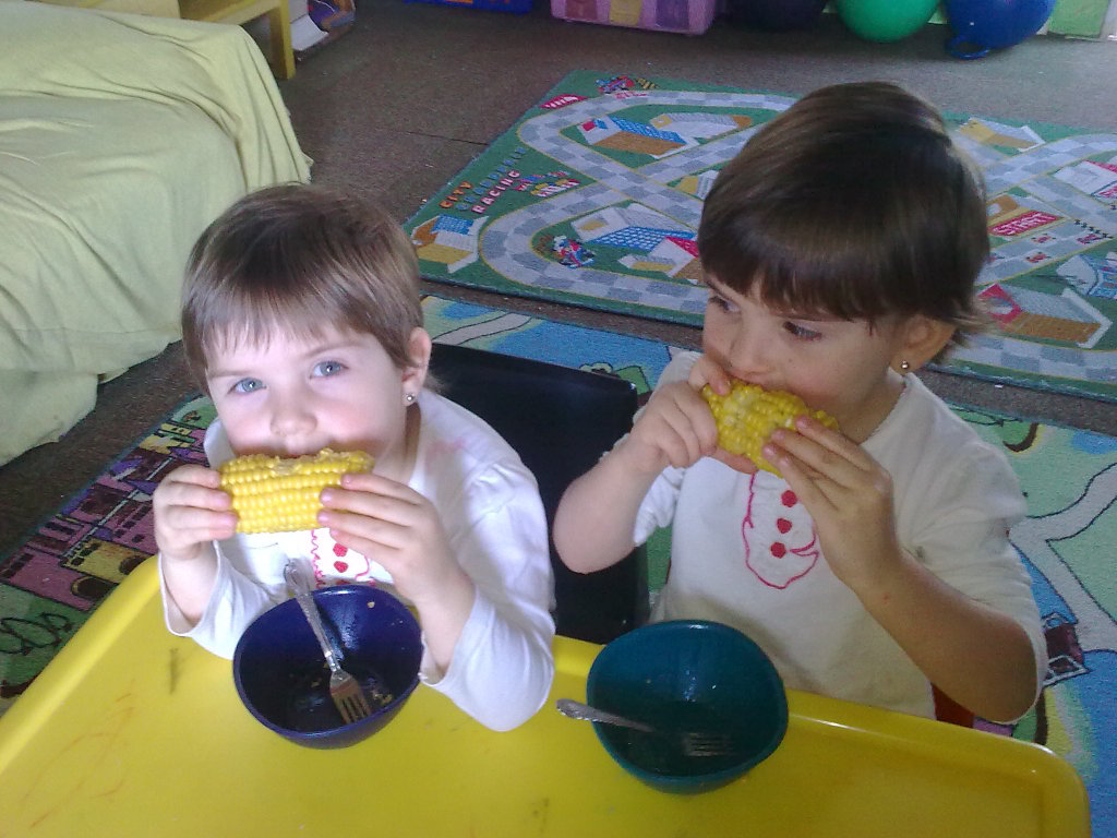 The Lollipop Tree Playgroup 3 Rosyntjiebos St., Randpark Ridge ...