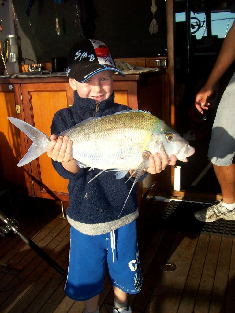 mv signa charters 10 Terralong Street, Kiama, 2533