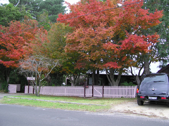 PALANE Kennels & Cattery 63 Clear View Pde Hazelbrook Nsw 2779 (Blue ...