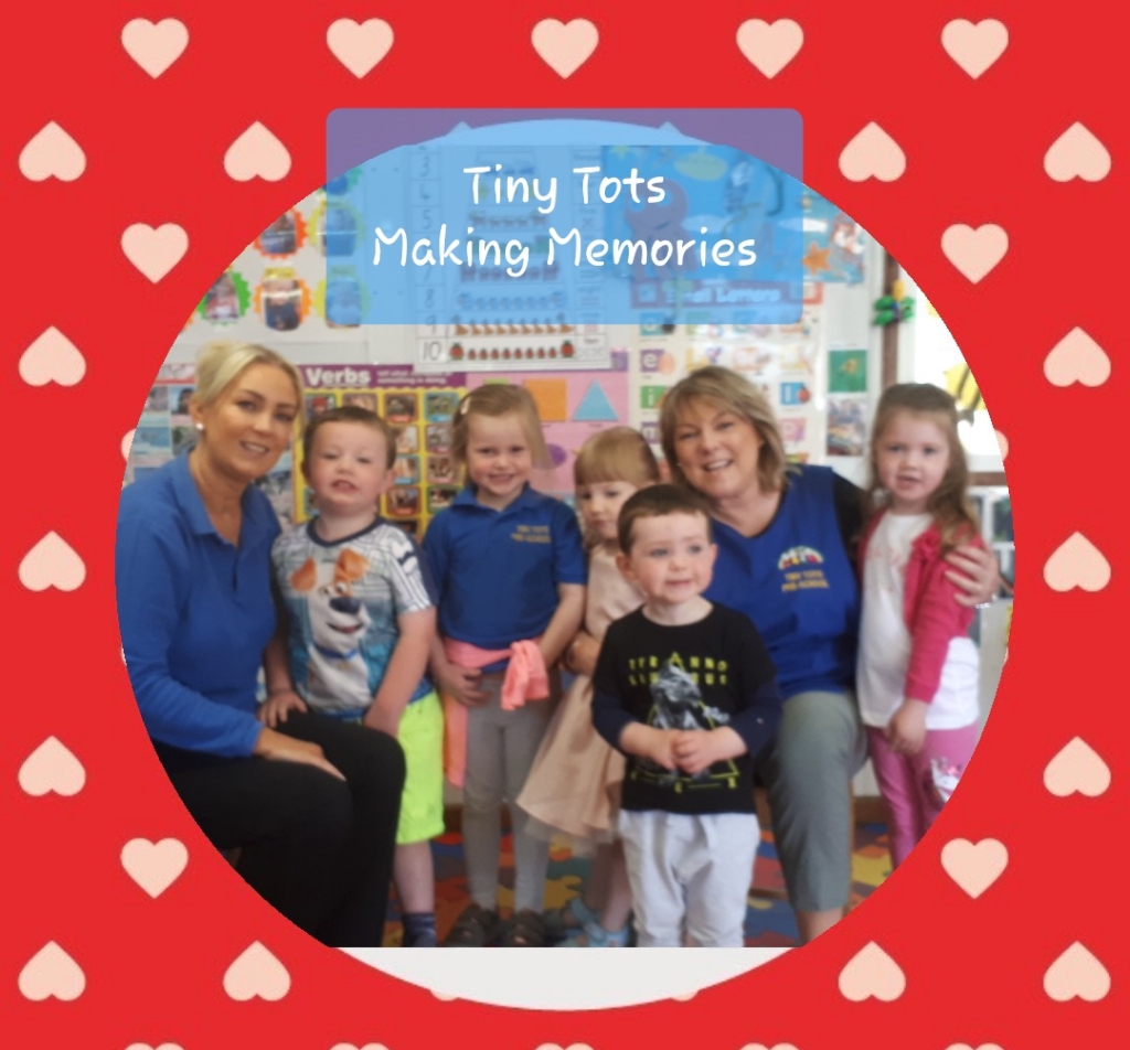 Tiny Tots Pre School 8A Merry Meeting, Rathnew, Wicklow, Wicklow, County Wicklow, A67X667
