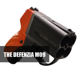 Defenzia LLC 3740 - 3742, Phoenix, AZ, 85040