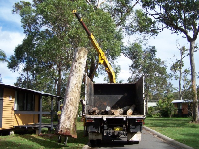 Nambucca Tree Recycling 18 Kuta Avenue, Valla Beach, 2448