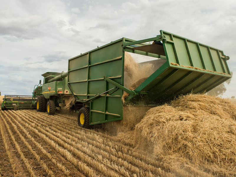 Springfield Grenfell Springfield, Cowra Road, Grenfell, 2810