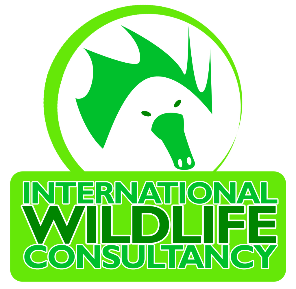 WILDCALL WILDLIFE SHOWS Gold Coast, 4213