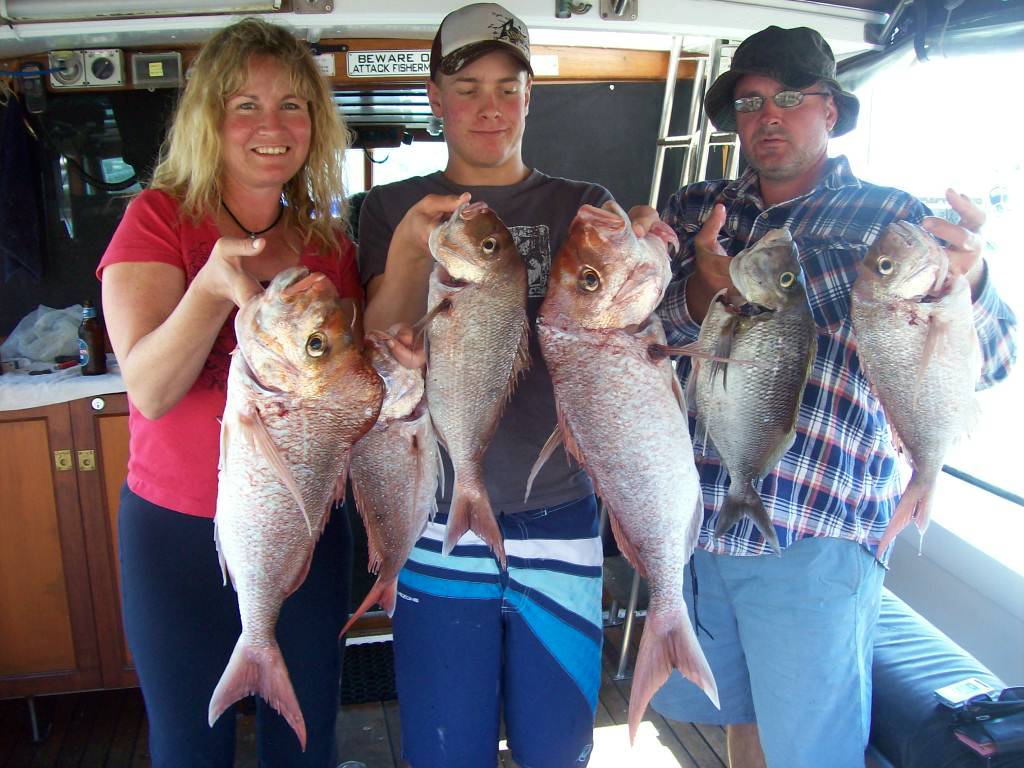 mv signa charters 10 Terralong Street, Kiama, 2533