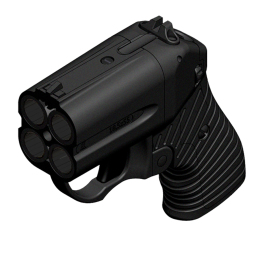 Defenzia LLC 3740 - 3742, Phoenix, AZ, 85040