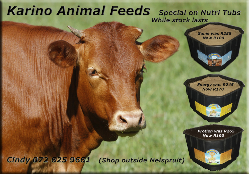 Brondal Animal Feeds Nelspruit goedehoop, Nelspruit, 1204