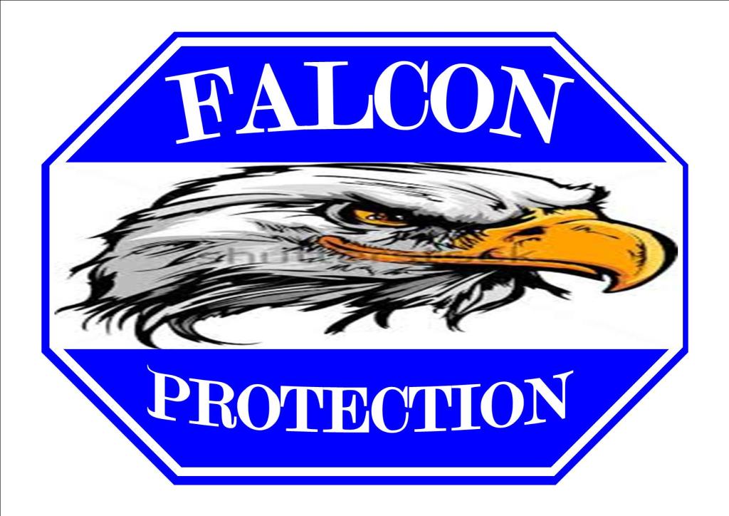 Falcon Protection 4 Ilex Street, Brits, 0325