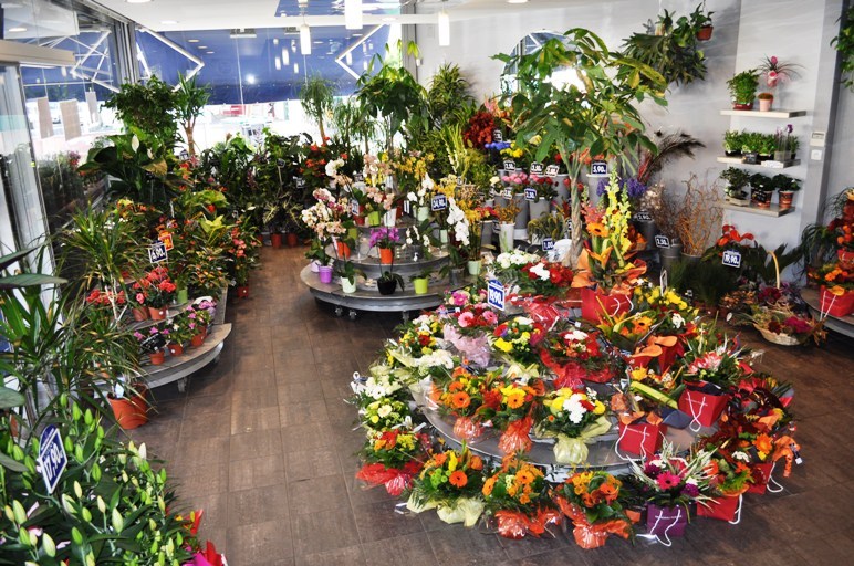 MONCEAU FLEURS Quartier du Charrel, AUBAGNE, 13400