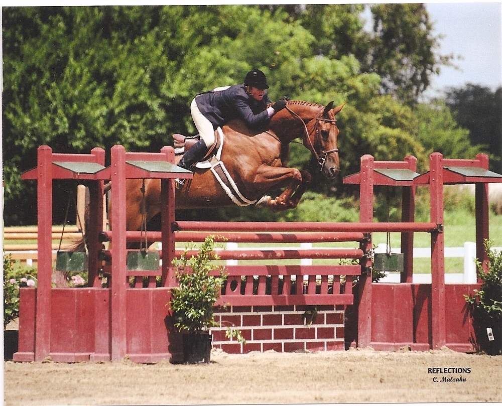 Blue Spring Farm W220 N9110 Town Line Rd, Menomonee Falls, WI, 53051-1032