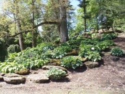 Wade & Gatton Nurseries & Botanical Gardens 1288 Gatton Rock Road ...