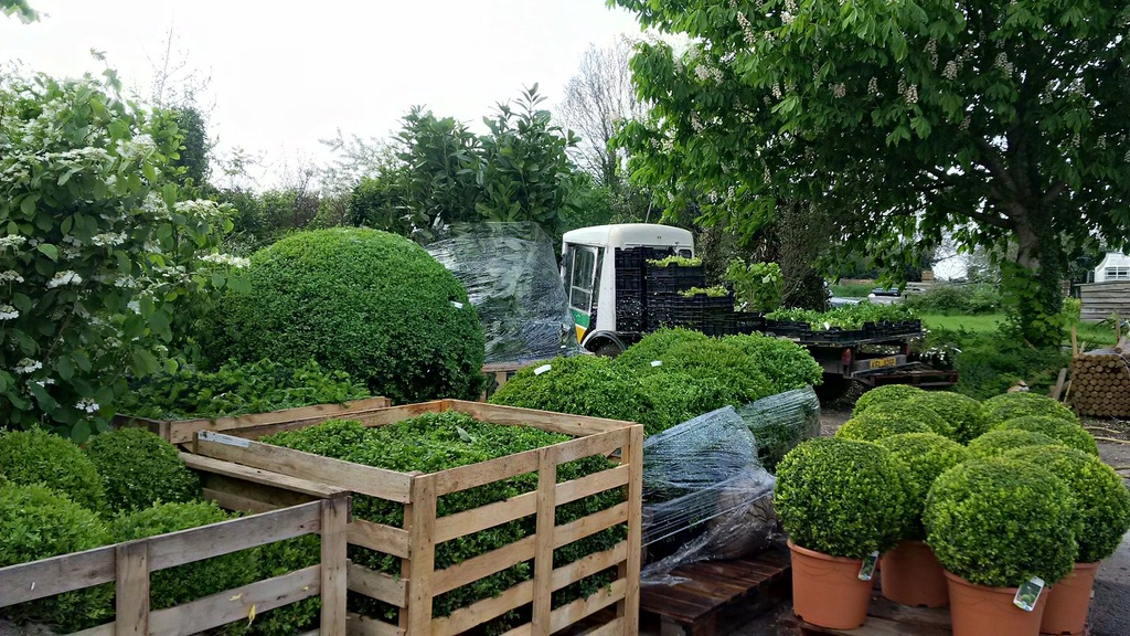 Details for Kingsdown Nurseries in Kingsdown Lane, Blunsdon, Swindon ...