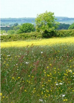 Details for Sun Rising Natural Burial Ground in Radway Road, Tysoe ...