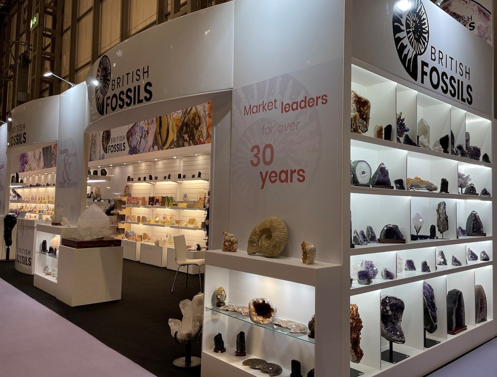 British Fossils Units 18-20 Old Street, Bailie Gate Industrial Estate ...